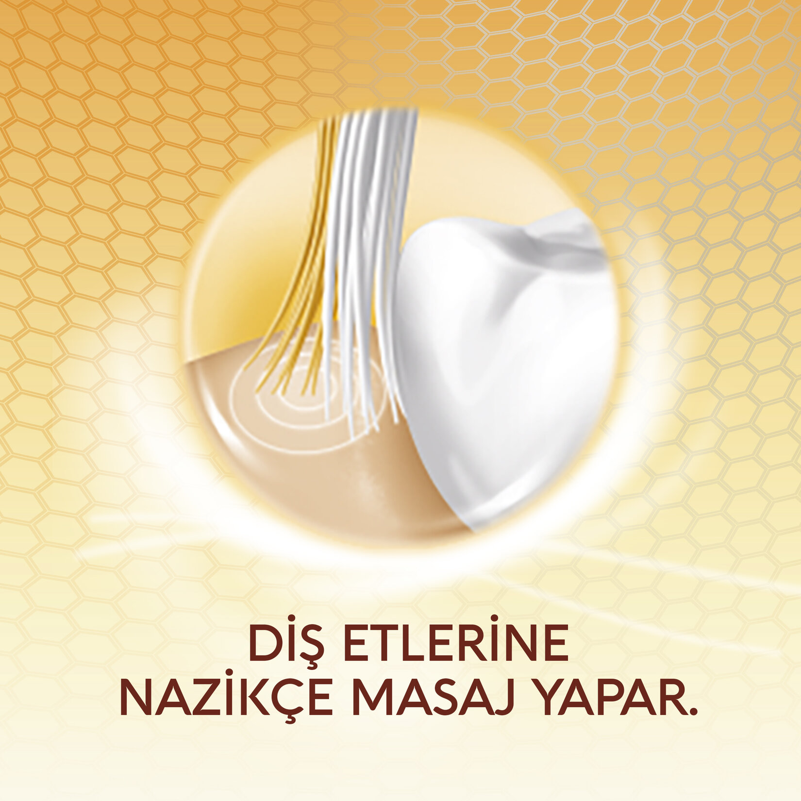 Colgate Gum Invigorate Tekli Diş Fırçası