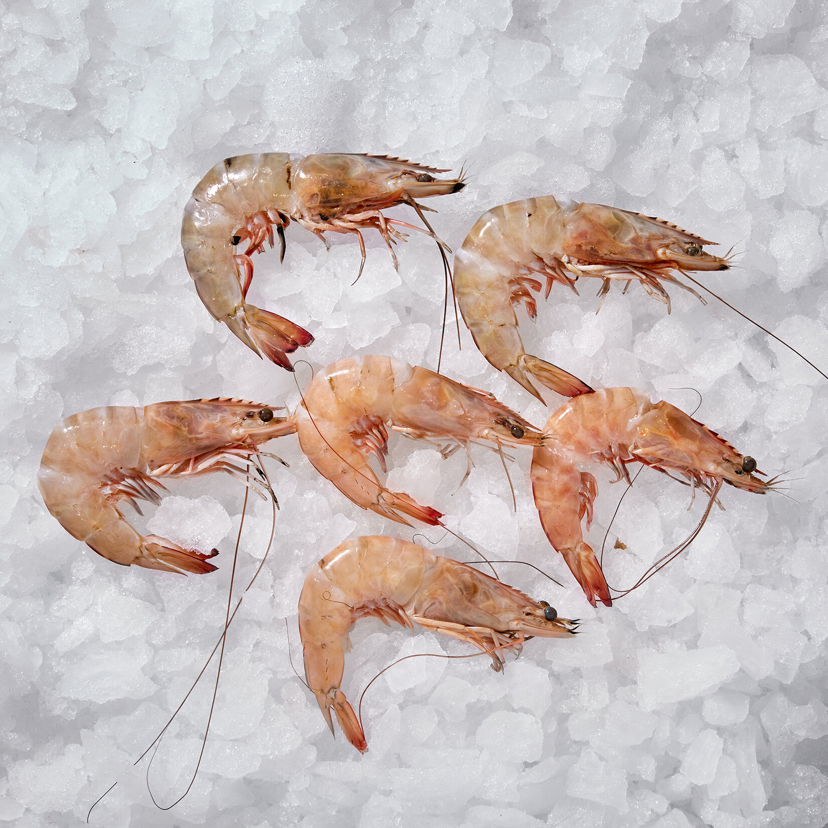 Jumbo Karides Kg | Macroonline