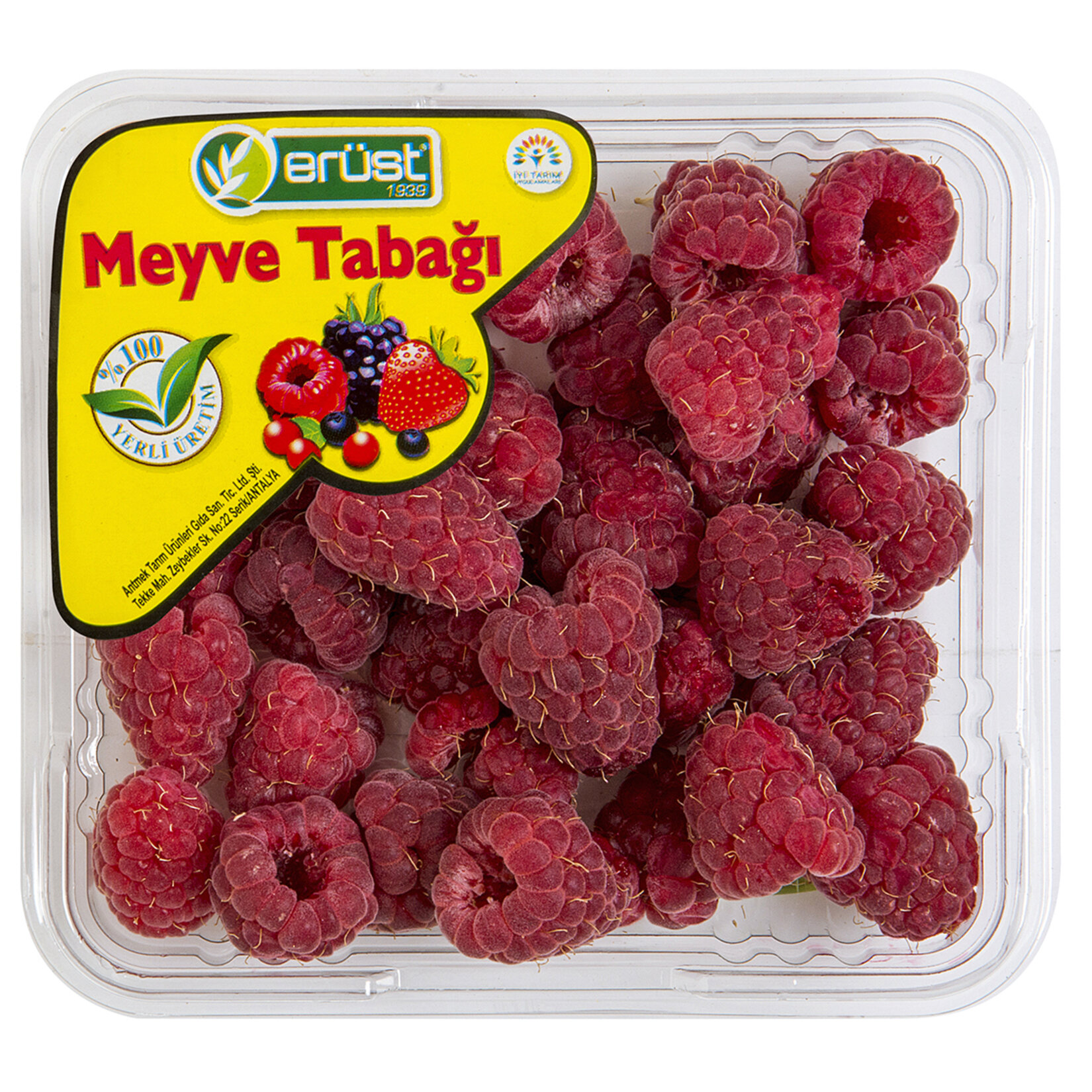 Erüst Ahududu 125 G | Macroonline