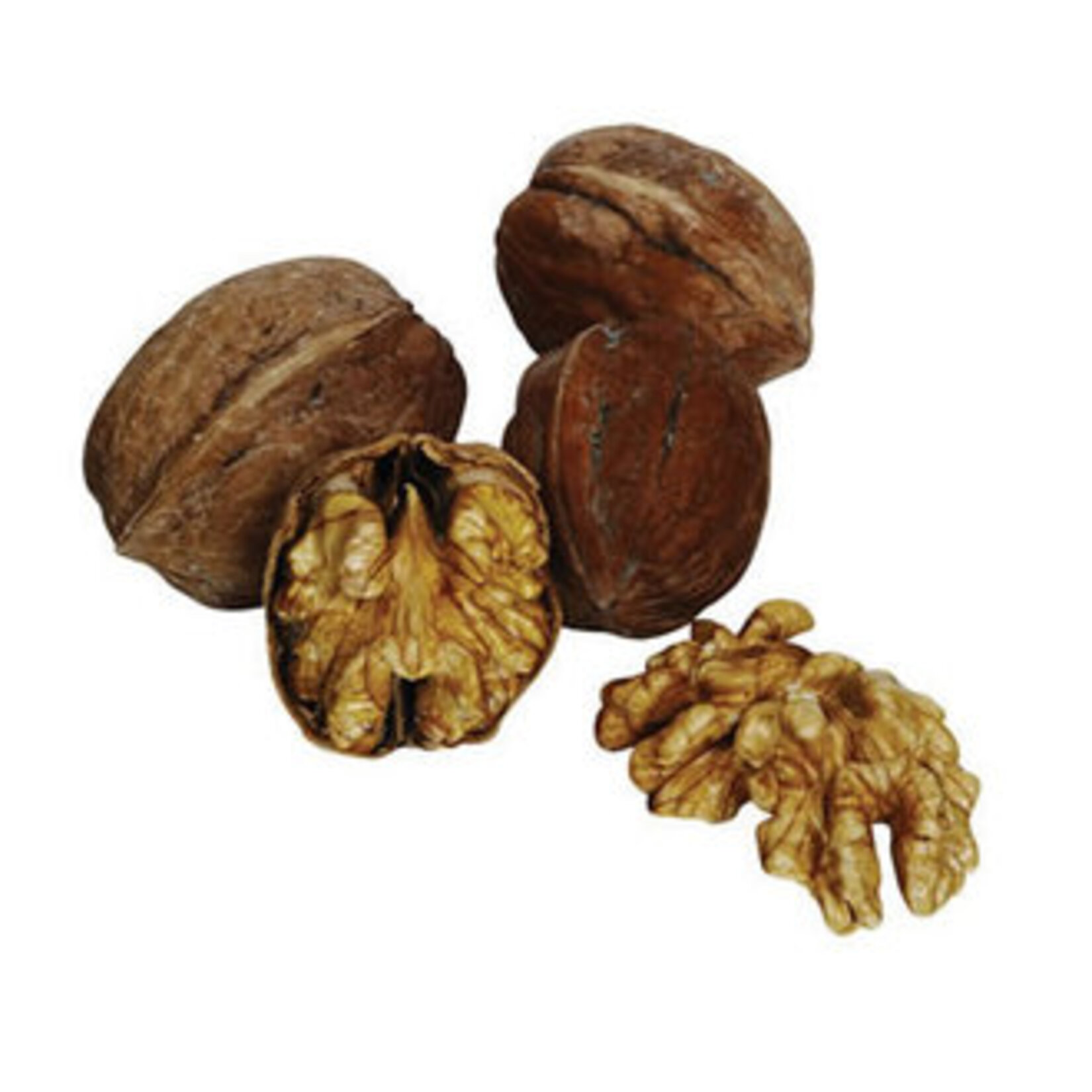 Tazedirekt Ceviz Organik Kg | Macroonline