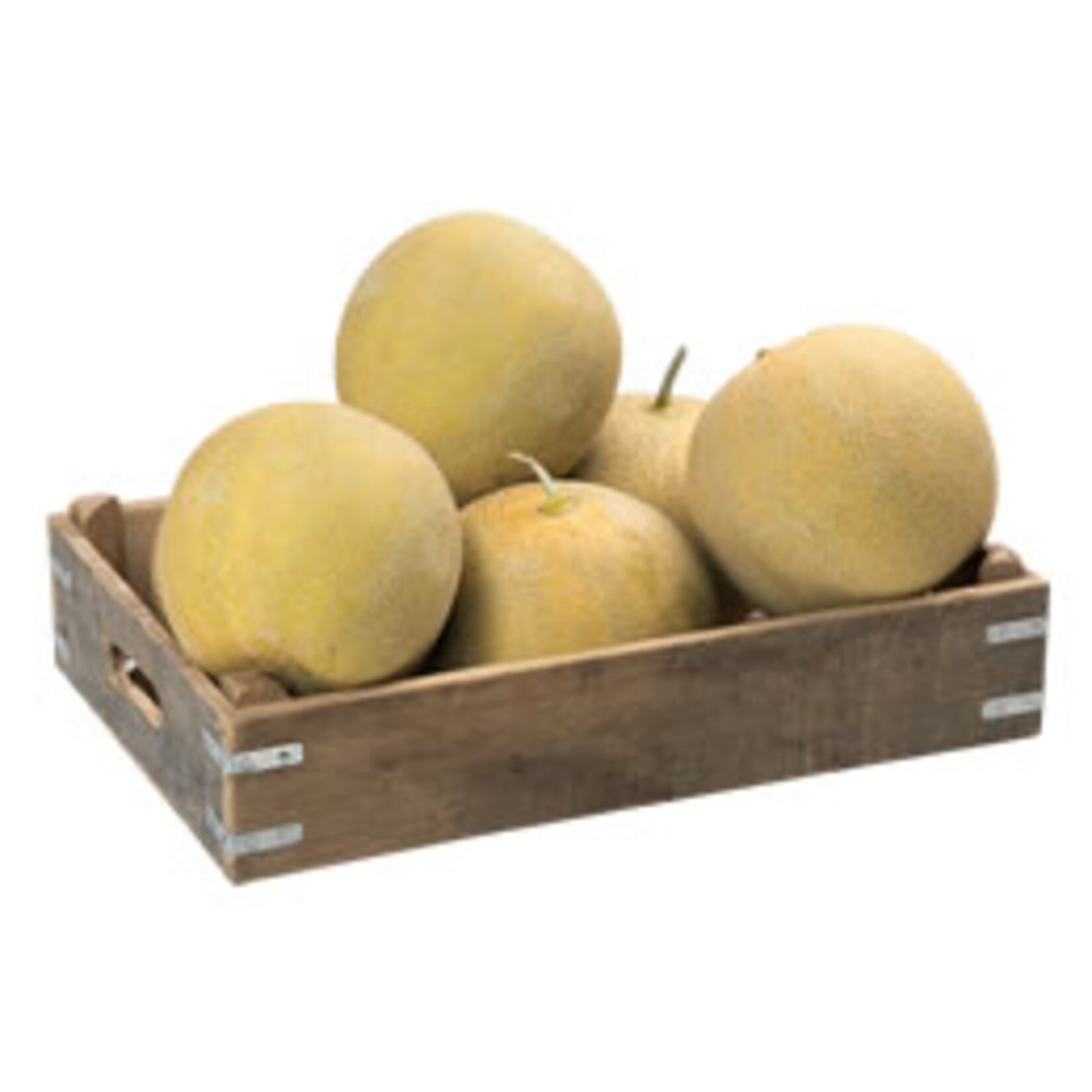 Kavun Sera Kg | Macroonline