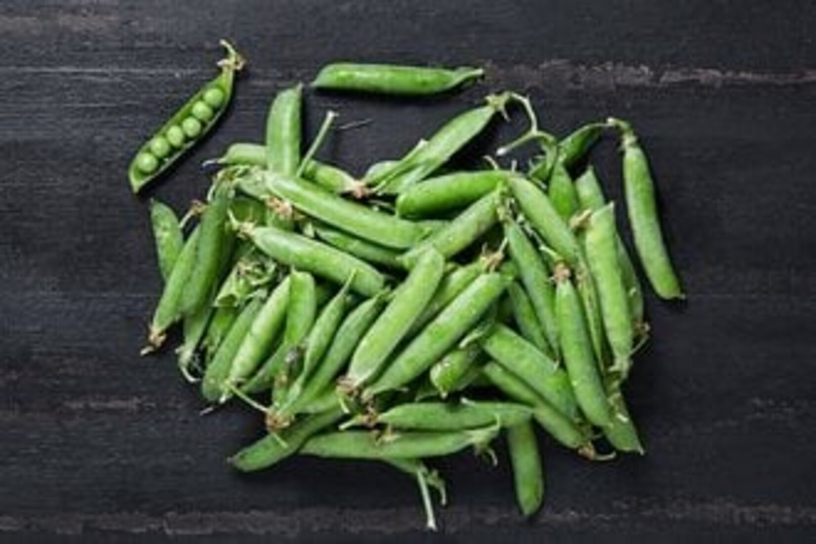 Macrocenter - Macroonline