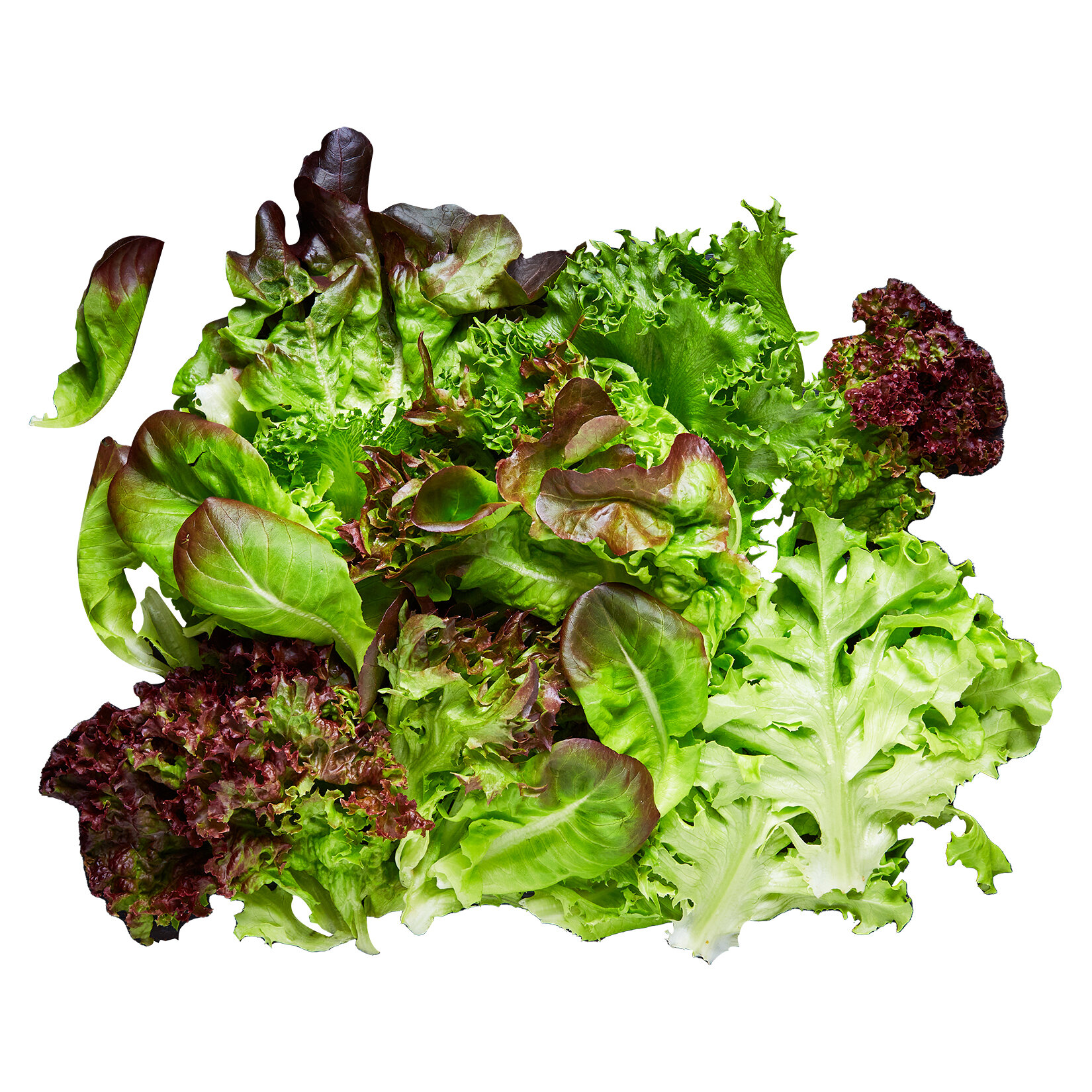 Local Greens Akdeniz Yeşilliği 150G Paket | Macroonline