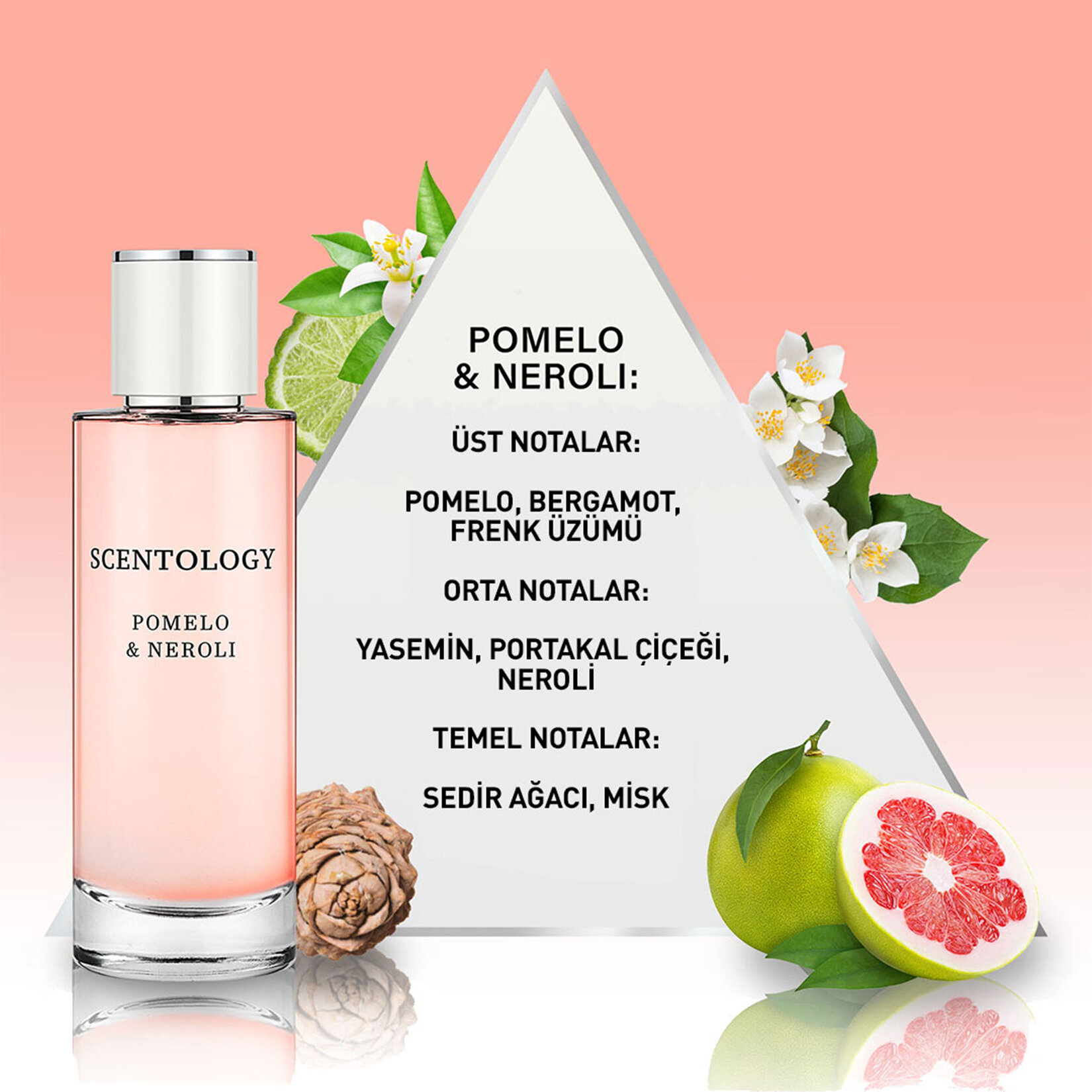Scentology Pomelo & Nerolı Edp Parfüm 100 Ml