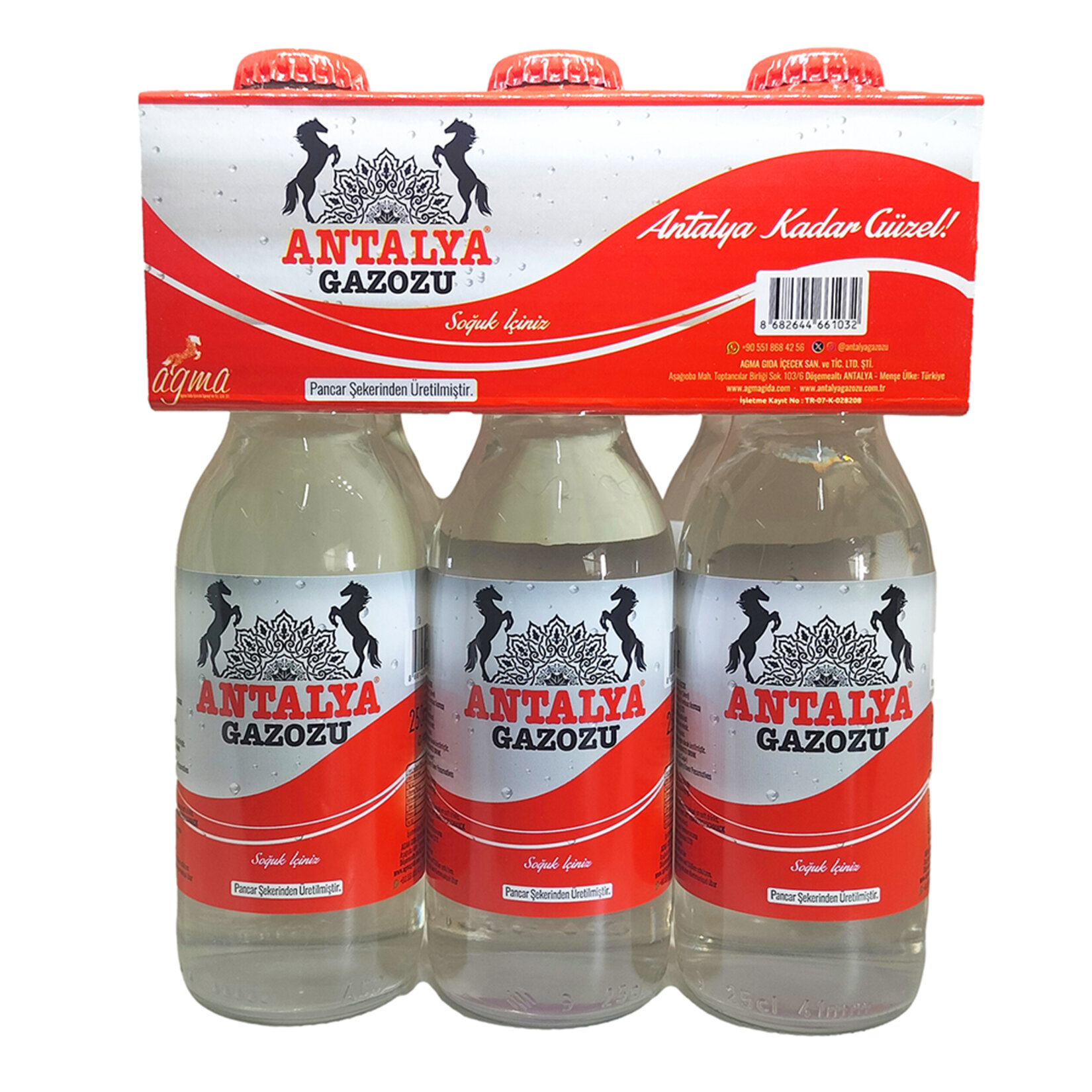 Antalya Gazozu Frambuaz Aromalı Gazoz 6x250 Ml - Migros