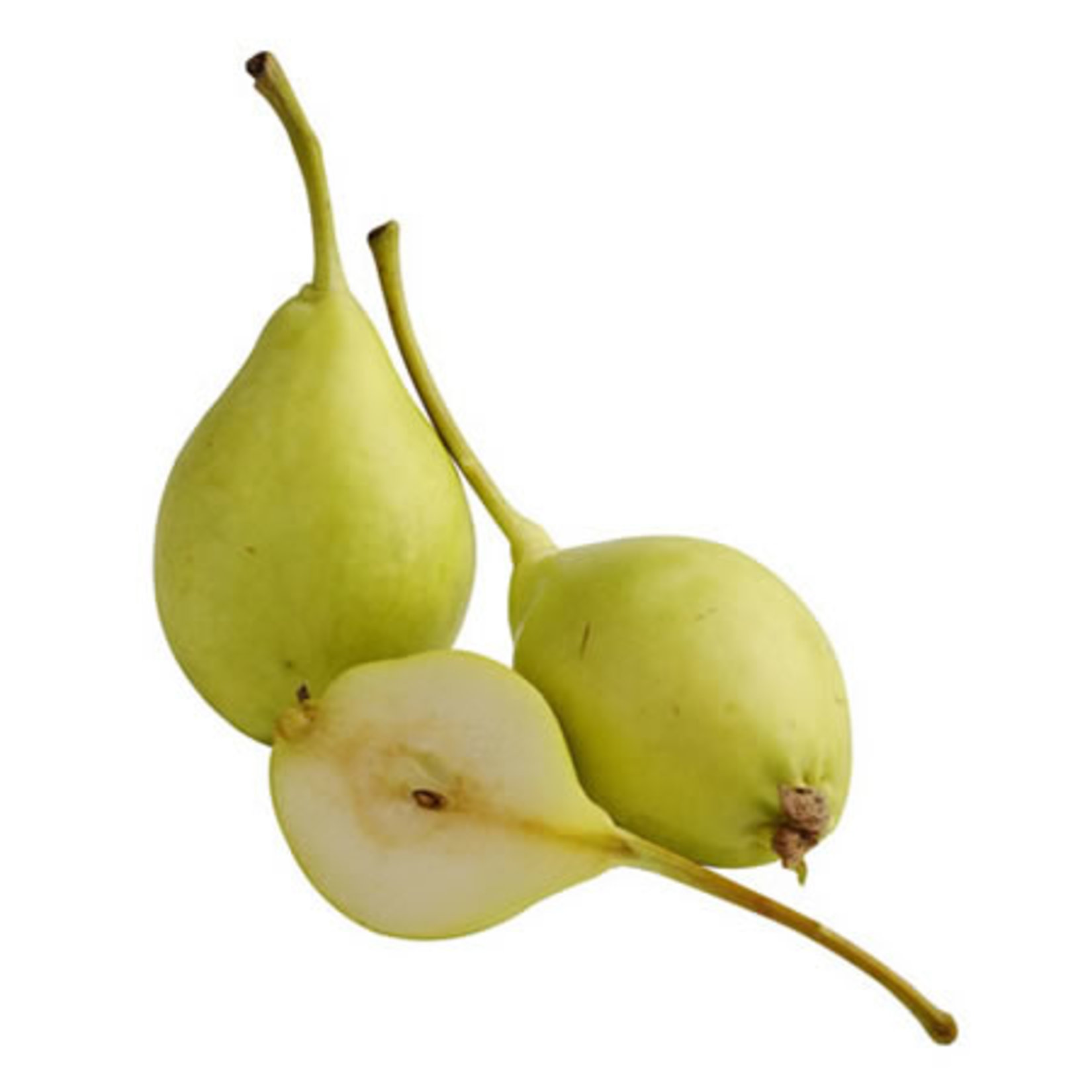 Armut Akça Kg - Migros