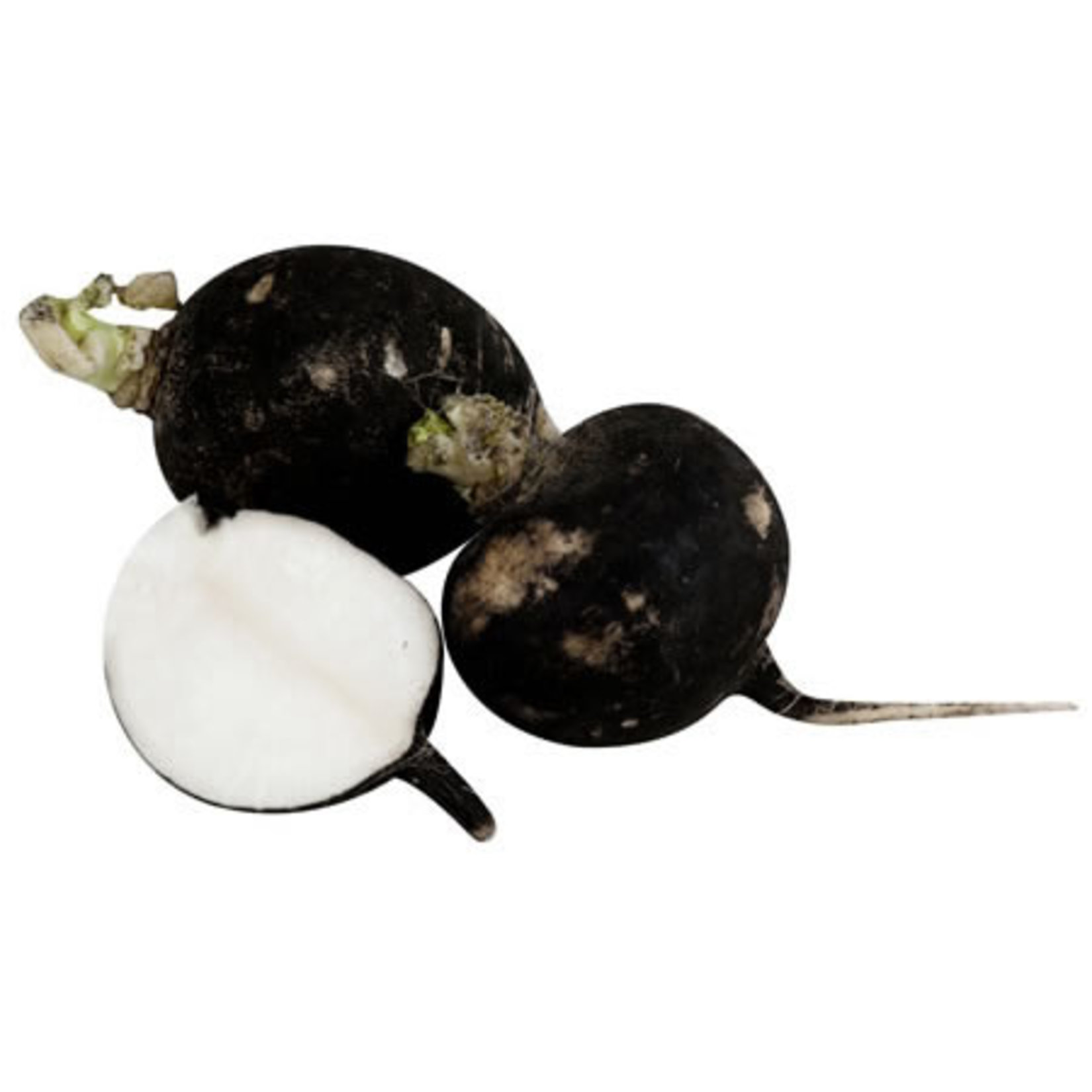 Siyah Turp Kg - Migros