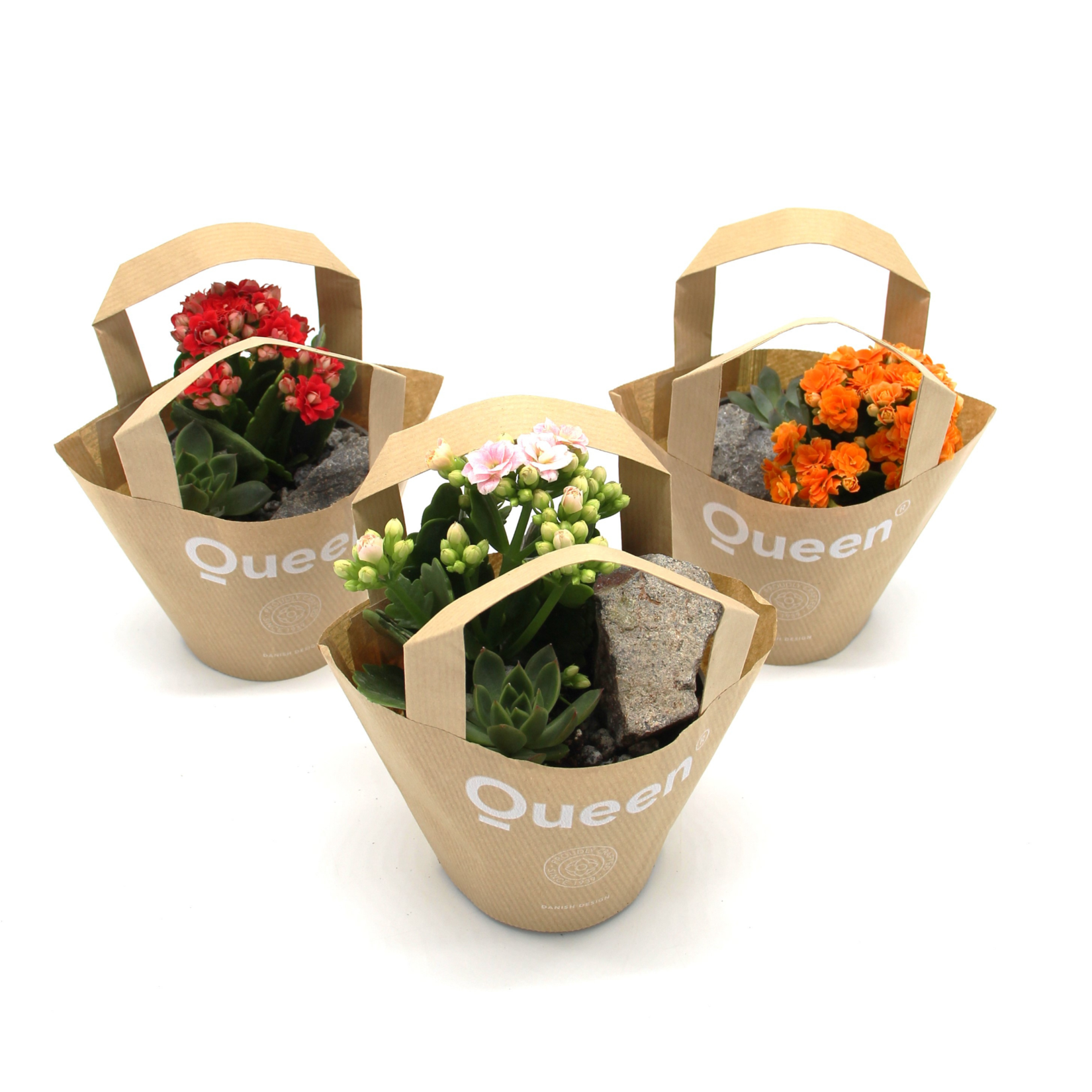 Queen Creations- Zen Mini - Migros