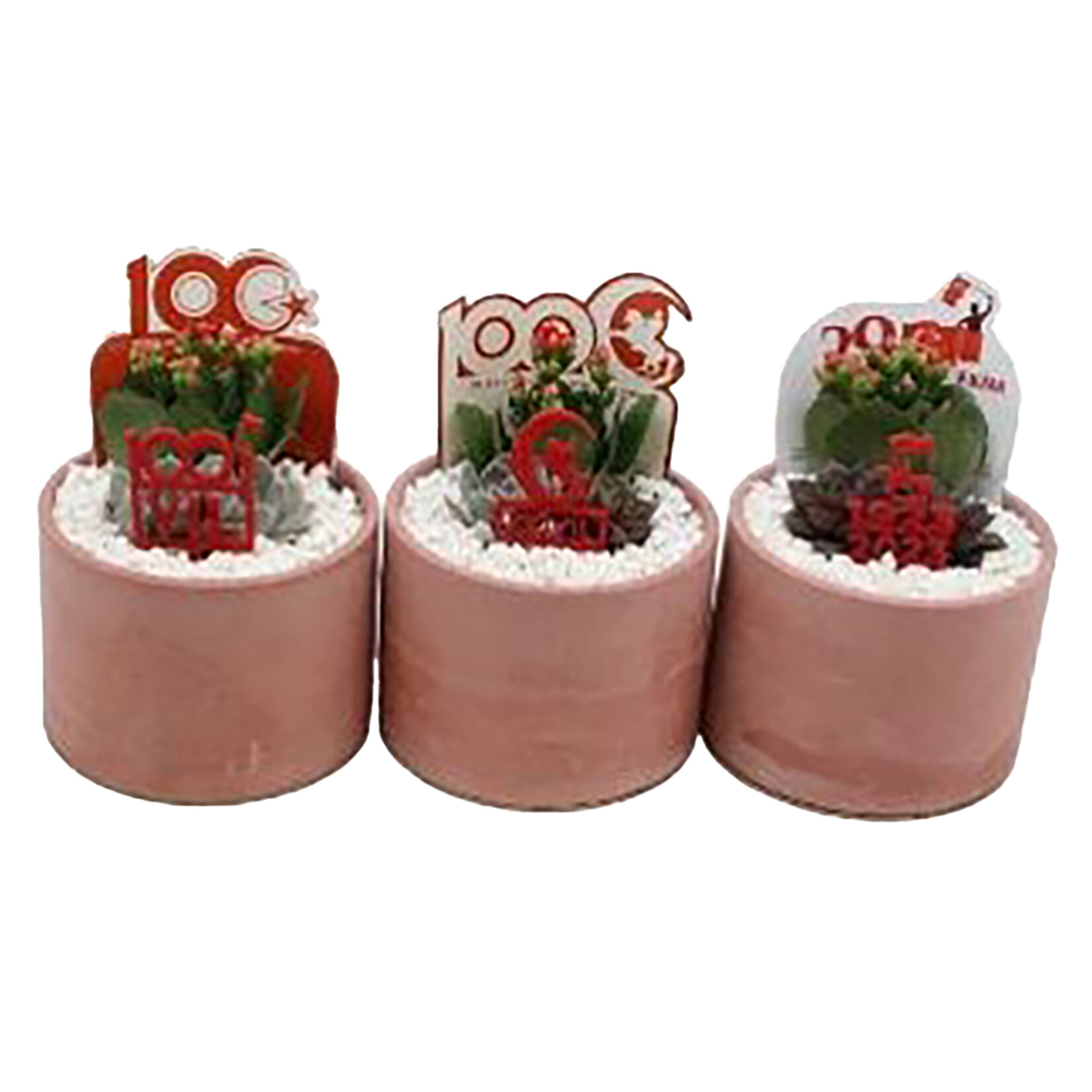 Queen Creations - Kallente (100.Yıl) - Migros