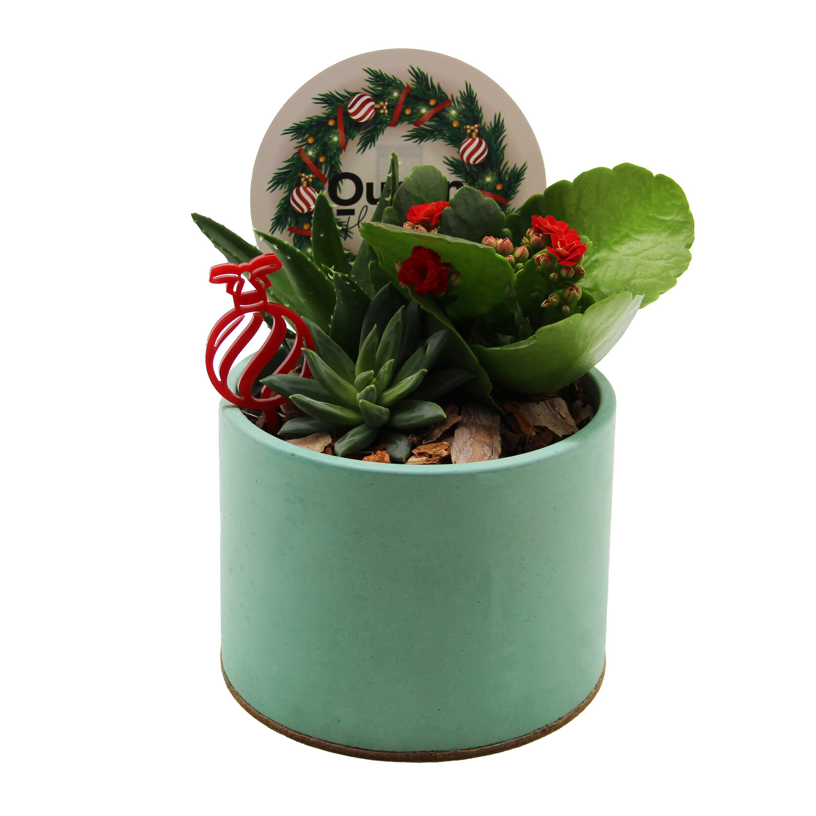 Queen Creations - Kallente (Yılbaşı) - Migros