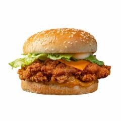 Rost Chickens & Burgers, Nilüfer (Ataevler Mah.) - Online Sipariş, Menü ...